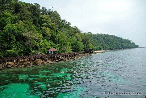 Snorkeling at Pulau Payar Marine Park (My Memorable Experience) | This ...